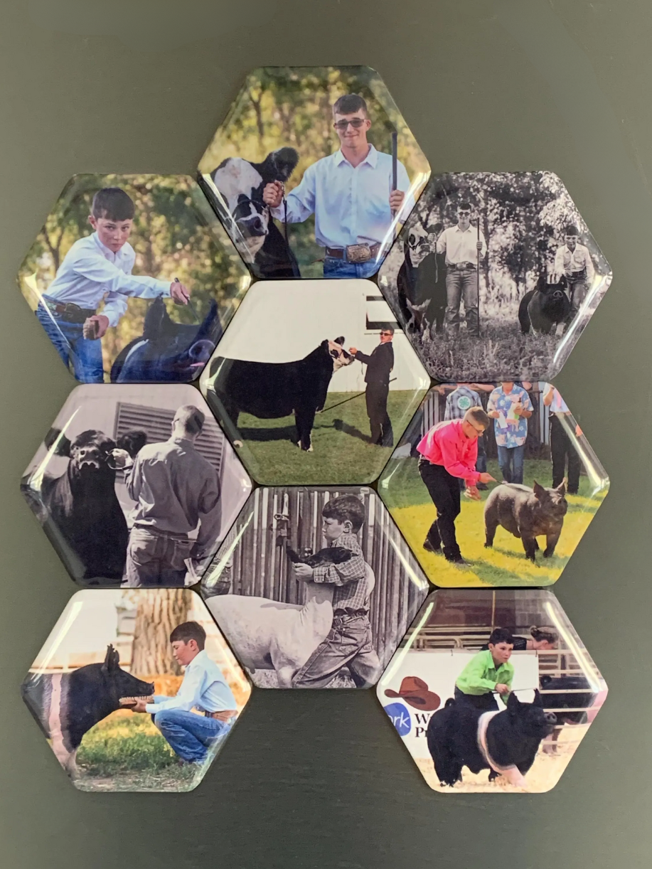 10 Custom Hexagon Magnets – smallfryshowsupply